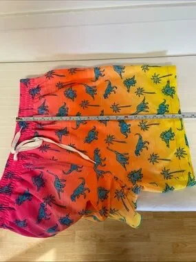 chubbies | Swim | Chubbies Colorful Ombre Neon Dinosaur Print Swim ...